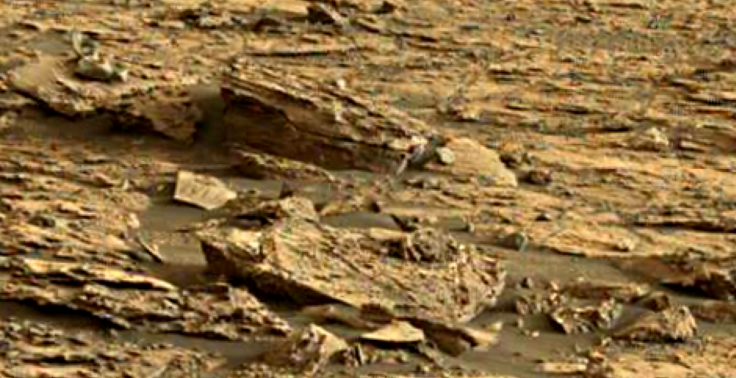Mars Sol 1448 Anomalies | Was Life On Mars?