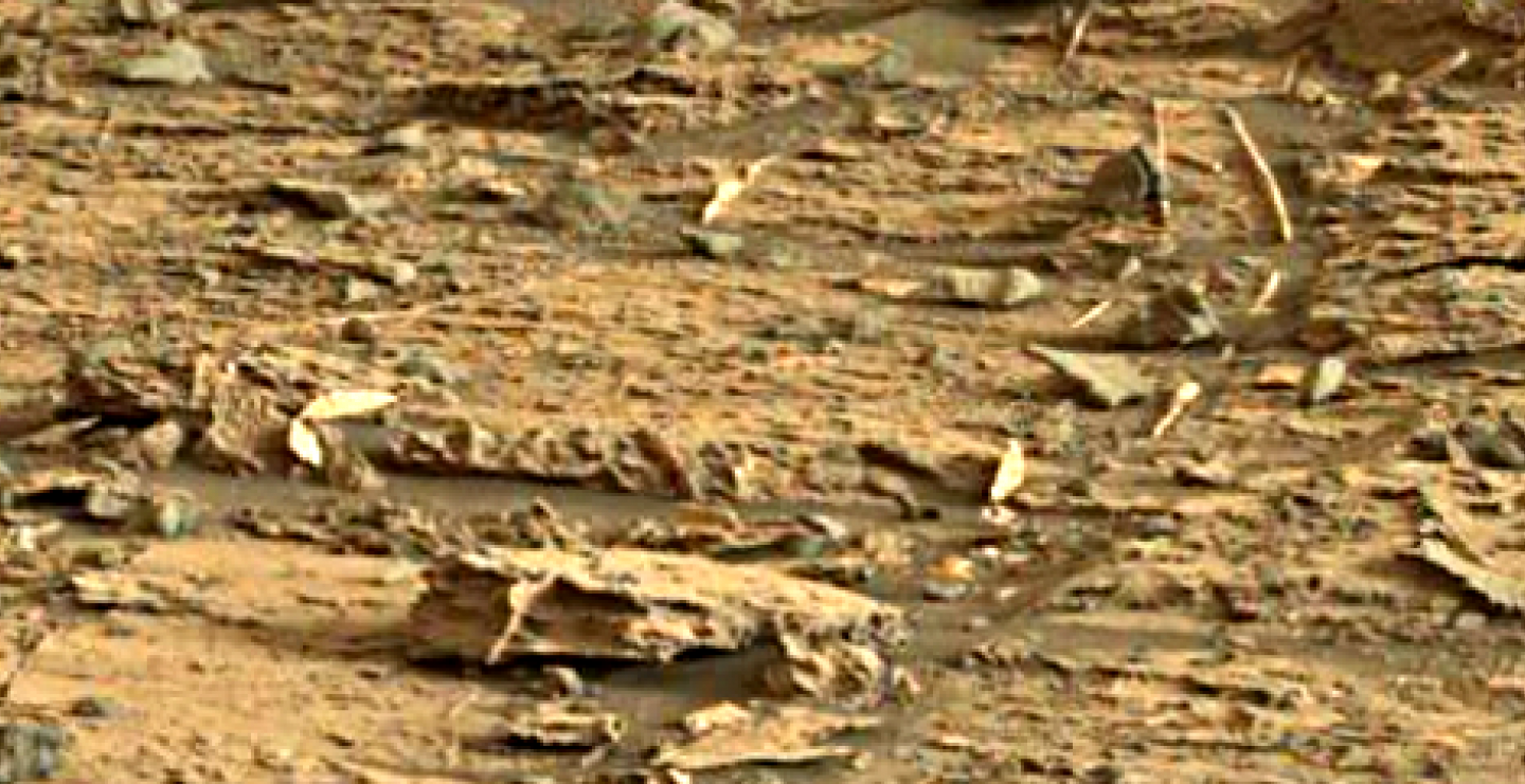 Mars Sol 1448 Anomalies | Was Life On Mars?