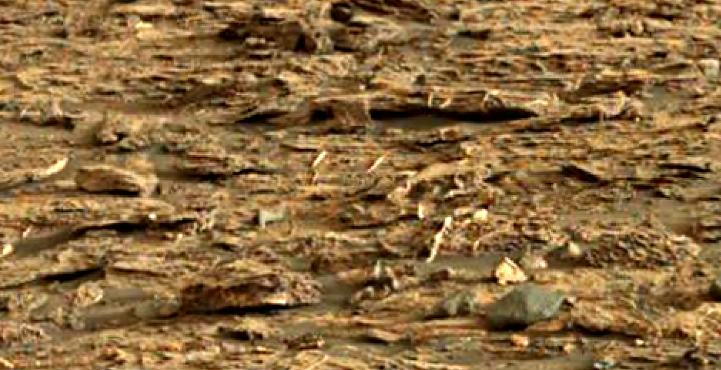 Mars Sol 1448 Anomalies | Was Life On Mars?